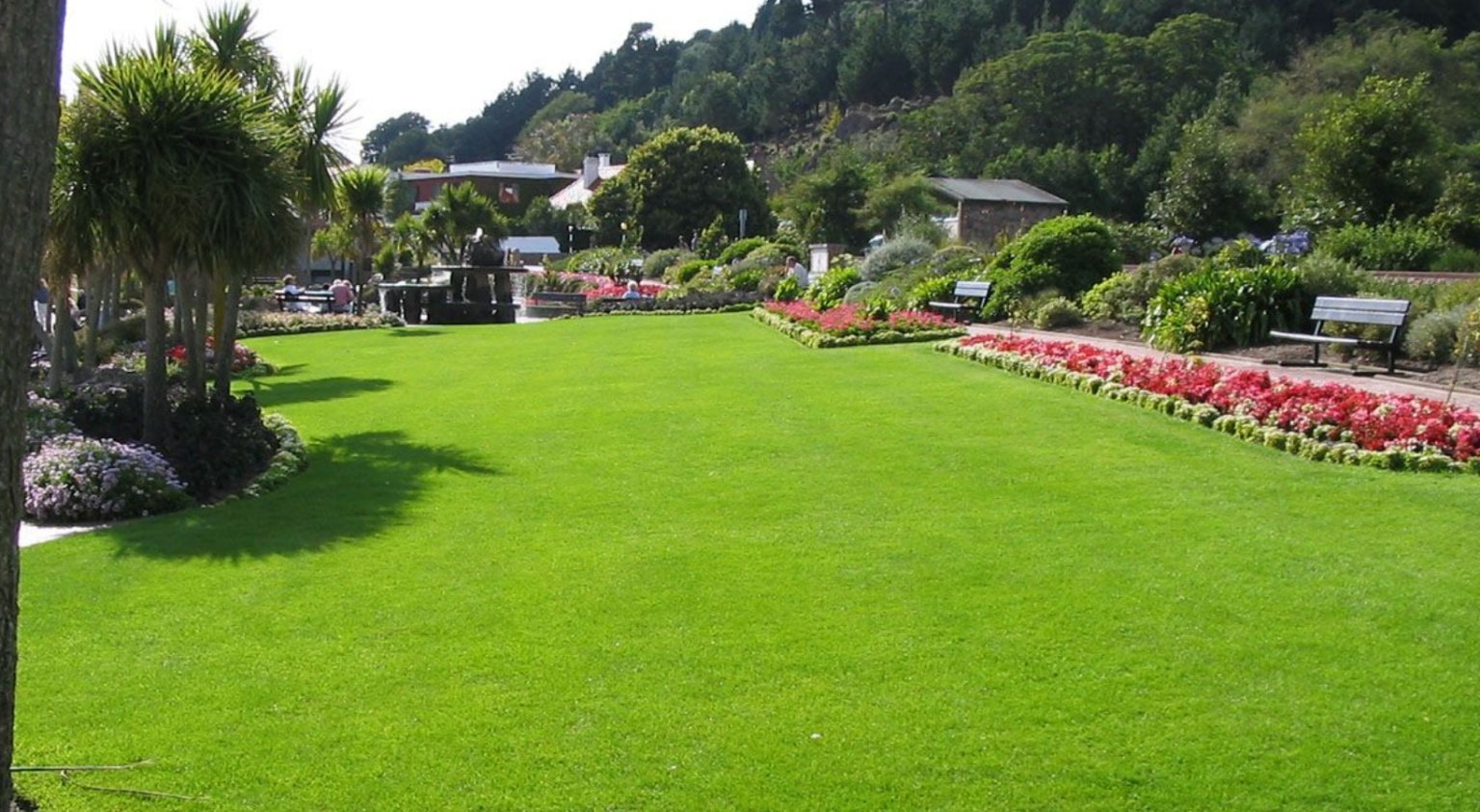 Fairway Green | Lawn Care Services Raleigh | Charlotte Lawn Care