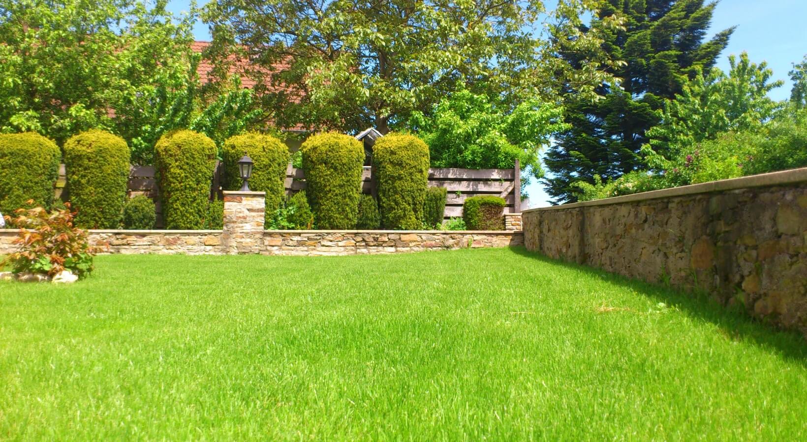 Fairway Green | Lawn Care Services Raleigh | Charlotte Lawn Care